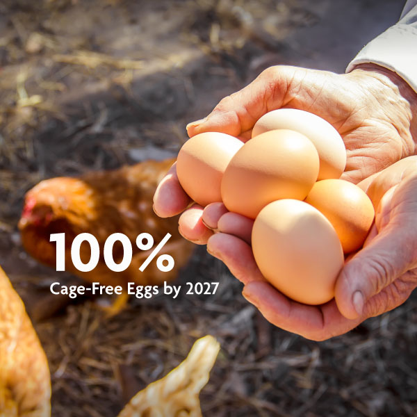 Minor Food’s Global Cage-free Commitment